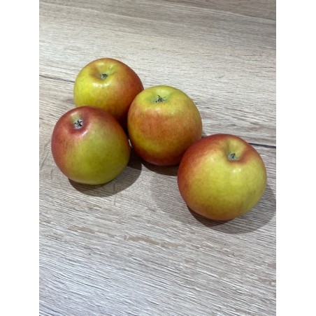 JAZZ - POMMES LOT DE 4