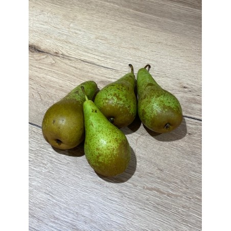 POIRES CONFERENCE - LOT DE 4